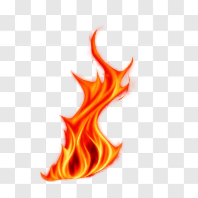 Download Abstract Fire Flame Drawing on Black Background PNGs Online ...