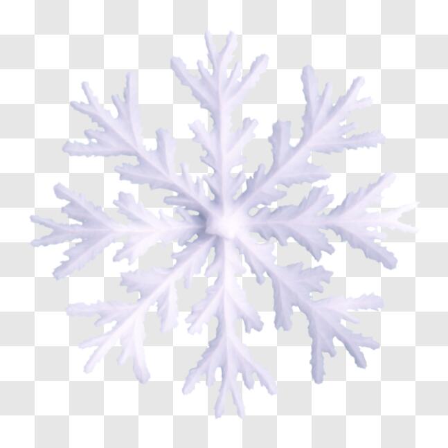 Snowflake PNG - Download Free & Premium Transparent Snowflake PNG ...