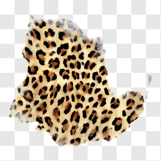 Cheetah Print Png