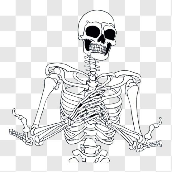 Download Skeleton Doing Handstand Pose PNGs Online - Creative Fabrica