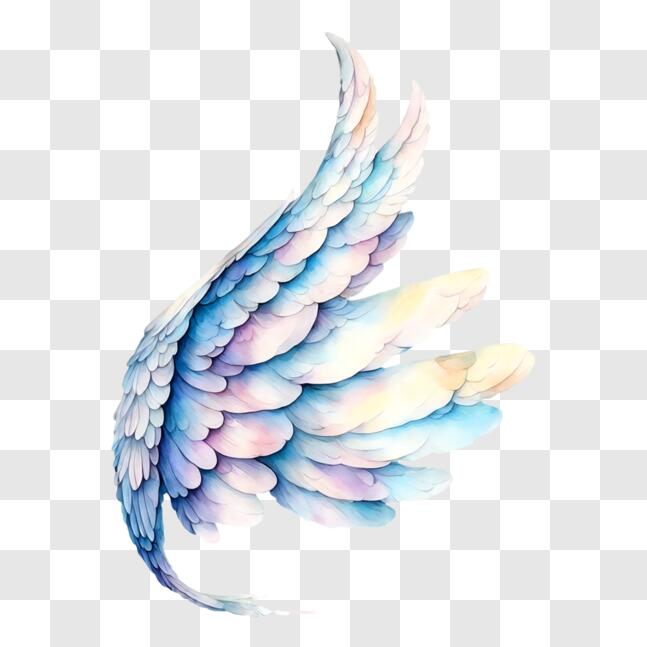 Wing PNG - Download Free & Premium Transparent Wing PNG Images Online ...
