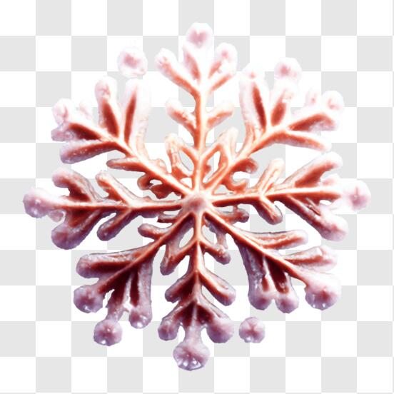 Snowflake PNG - Download Free & Premium Transparent Snowflake PNG ...