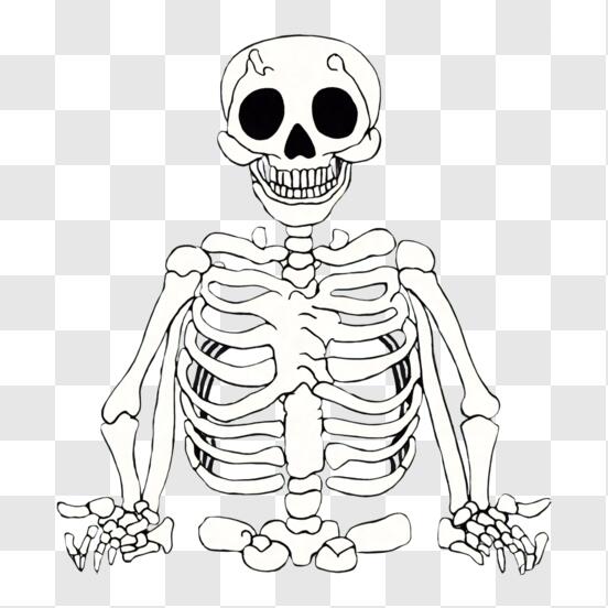 Download Skeleton Doing Handstand Pose PNGs Online - Creative Fabrica