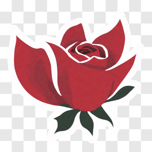 Download Red Rose Sticker on Black Background PNGs Online - Creative ...