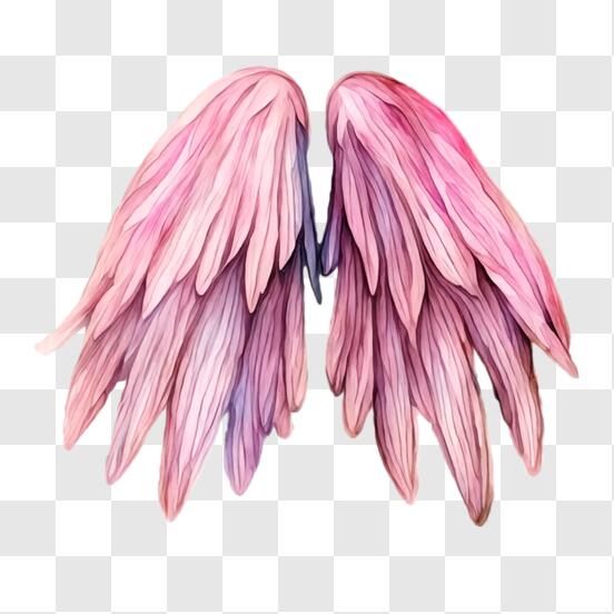 Download Colorful Angel Wings on a Black Background PNGs Online ...