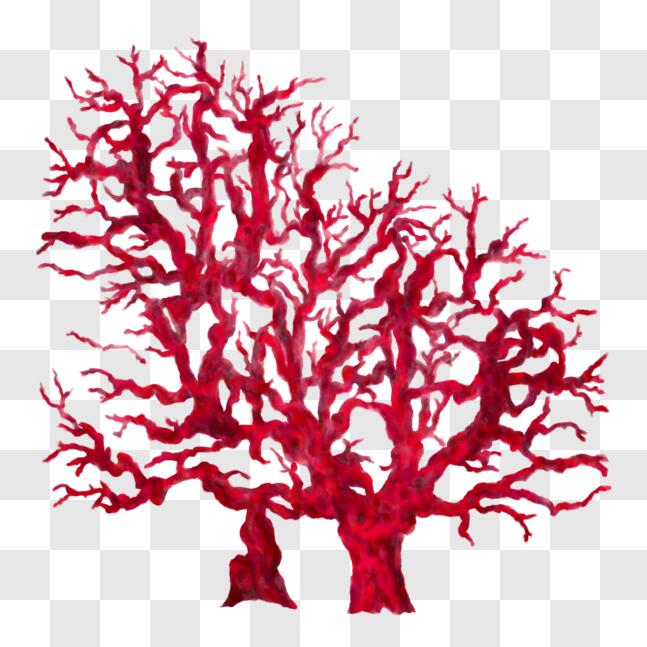 Download Red Coral Tree with Beautiful Branches and Leaves PNGs Online ...