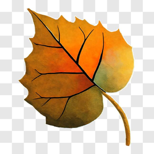 Download Abstract Orange and Yellow Leaf on Black Background PNGs ...