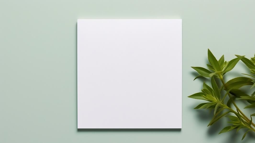 Coquette Bow PNG - Download Free & Premium Transparent Coquette Bow PNG ...