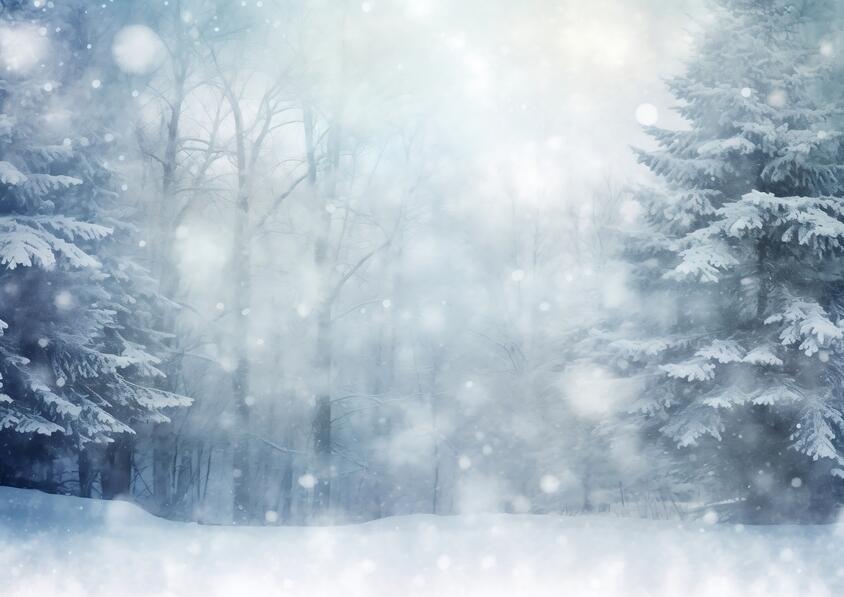 Download Snowy Winter Scene with Falling Snow Backgrounds Online ...
