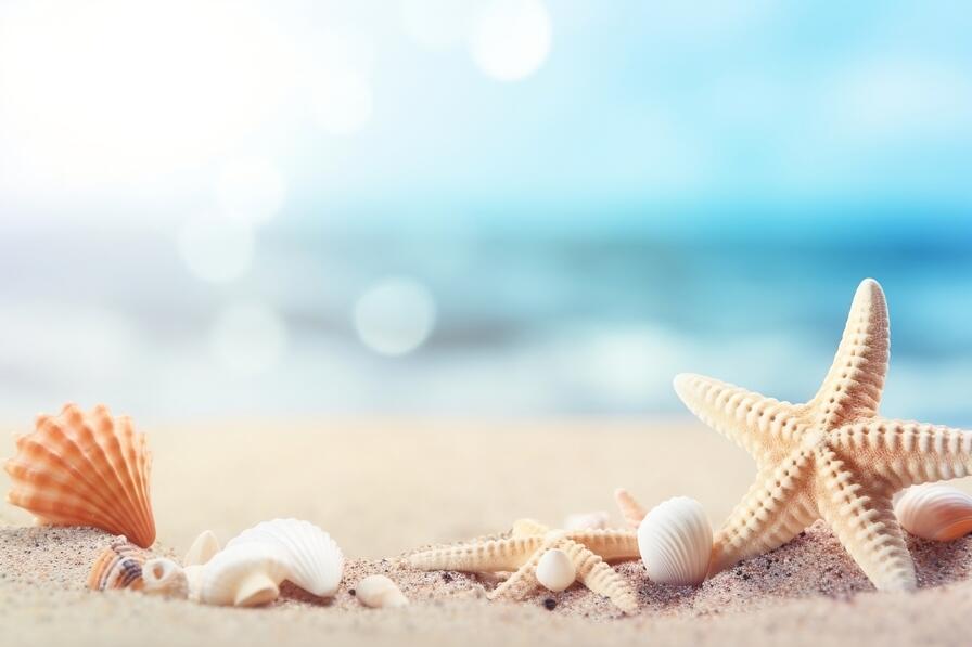 Download Beautiful Beach Scene with Starfish and Shells Backgrounds ...