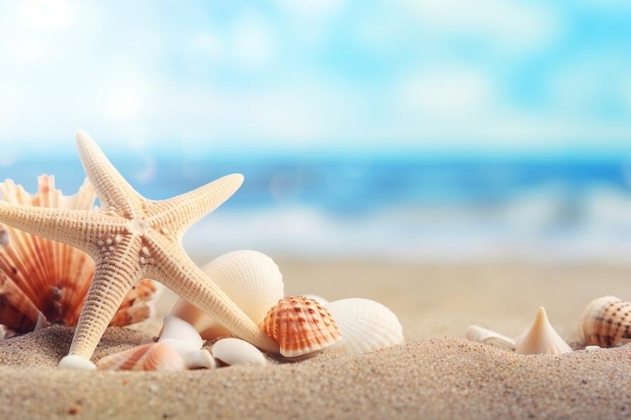 Télécharger Étoile de mer, coquillages et bois flotté sur la plage ...