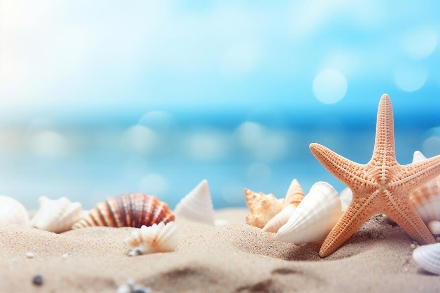 Download Seashells and Starfish on a Sandy Beach Backgrounds Online ...