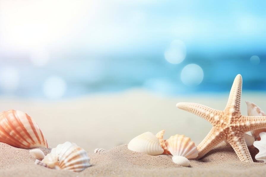 Download Starfish and Seashells on Beach Backgrounds Online - Creative ...
