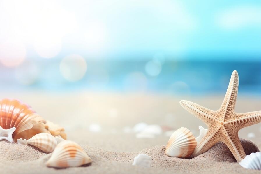 Download Relaxing Beach Scene with Starfish and Shells Backgrounds ...