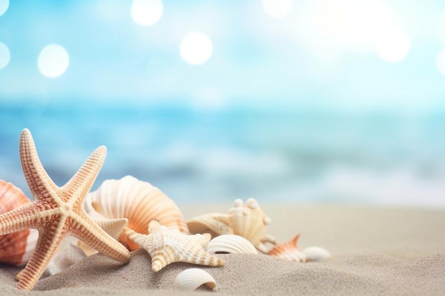 Download Starfish and Seashells on Beach with Ocean Background ...