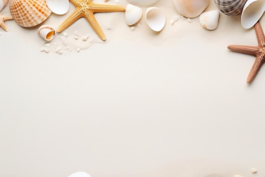 Download Seashells and Starfish Background Image Backgrounds Online ...