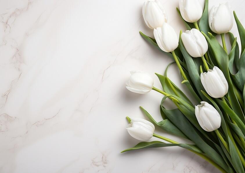 Spring Backgrounds - Download Free & Premium Transparent Spring ...