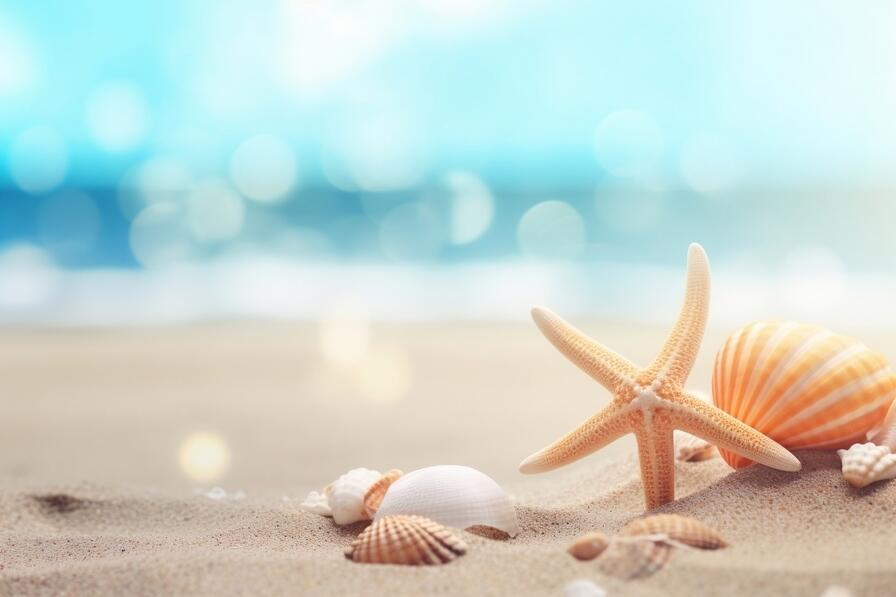 Download Starfish, Shells, and Seashells on the Beach Backgrounds ...