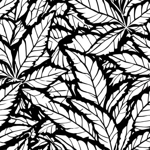 Black and White Patterns - Download Free & Premium Transparent Black ...