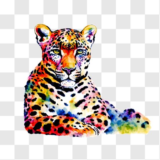Leopard Print PNG - Download Free & Premium Transparent Leopard Print ...