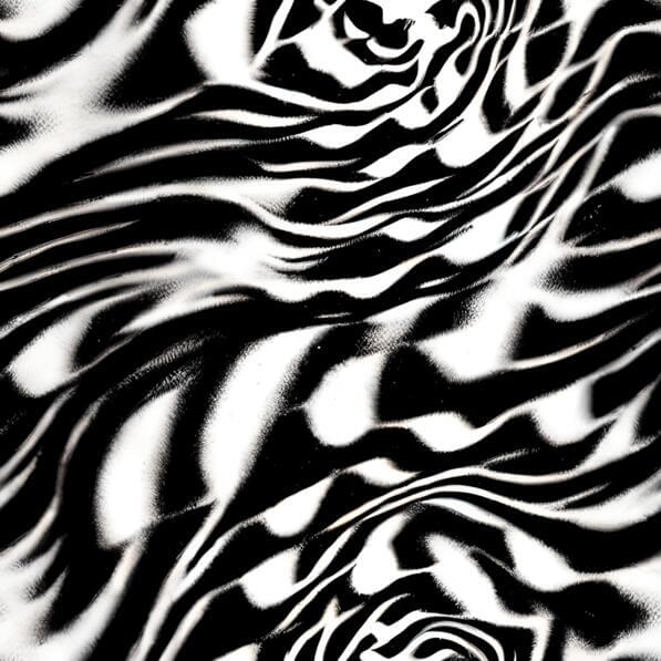 Download Black and White Zebra Print Fabric with Abstract Patterns ...