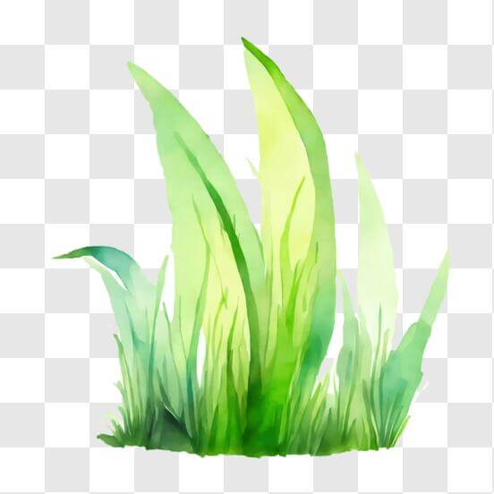 Download Green Grass Clipart for Various Types of Grass PNGs Online ...