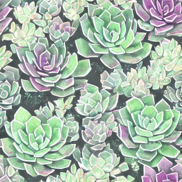 Download Seamless pattern of colorful succulents Patterns Online ...