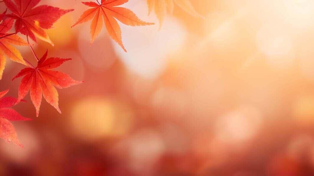 Download Red Maple Leaf in Autumn Backgrounds Online - Creative Fabrica