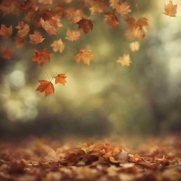 Download Autumn Leaves Falling from the Sky in a Wooded Forest ...