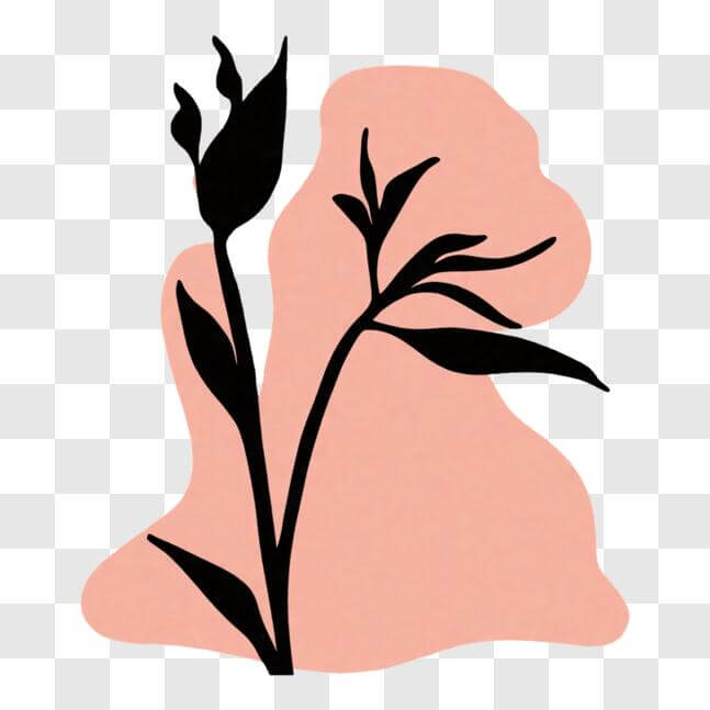 Download Silhouette of Pink Flower on Black Background PNGs Online ...