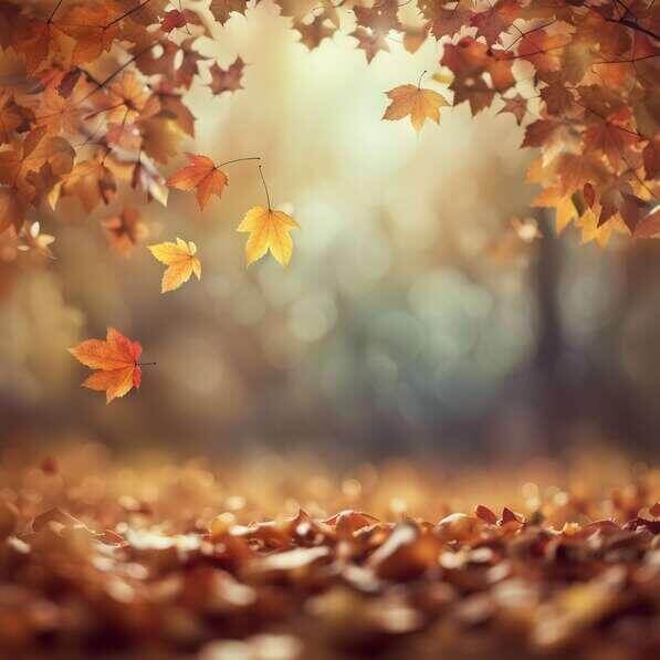 Download Autumn Leaves Falling in a Forest Setting Backgrounds Online ...