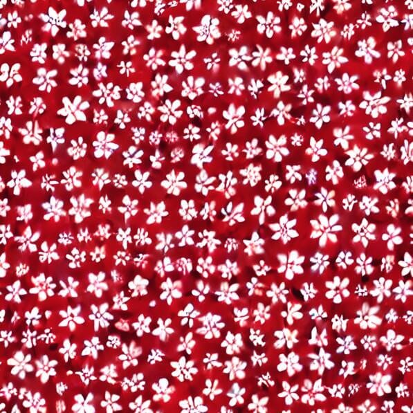 Download Red Background with White Flowers Patterns Online - Creative ...