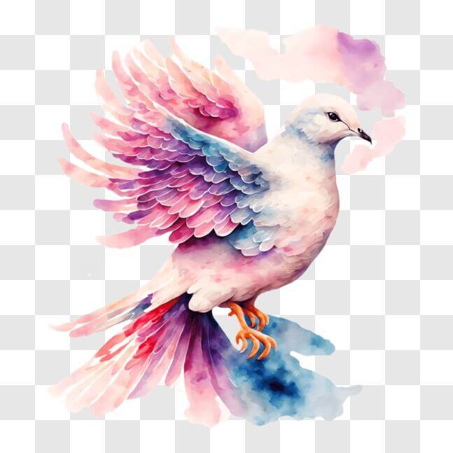 Download Pink and Blue Dove with Spread Wings PNGs Online - Creative ...