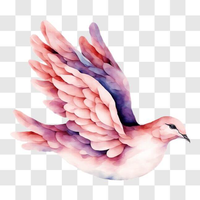 Download Abstract Pink Dove Flying in the Air PNGs Online - Creative ...