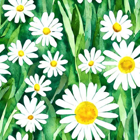 Download Watercolor Painting of White Daisies on Green Background ...