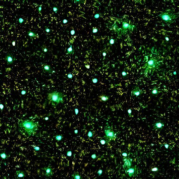 Download Green lights on a black background Patterns Online - Creative ...