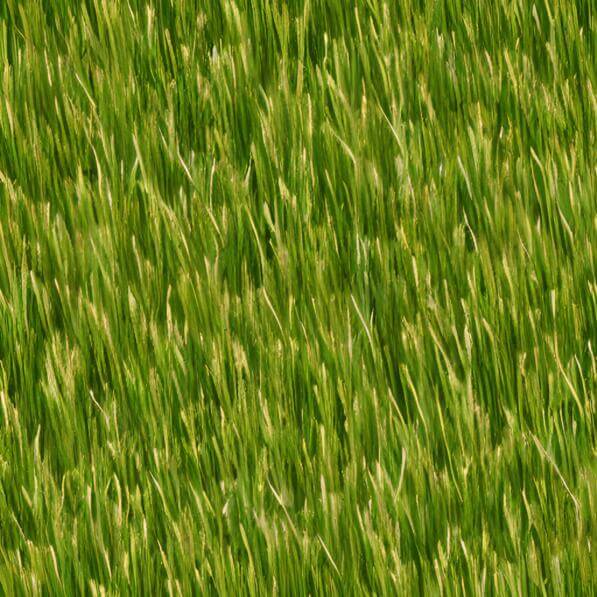 Download Close-up of Lush Green Grass Field Patterns Online - Creative ...