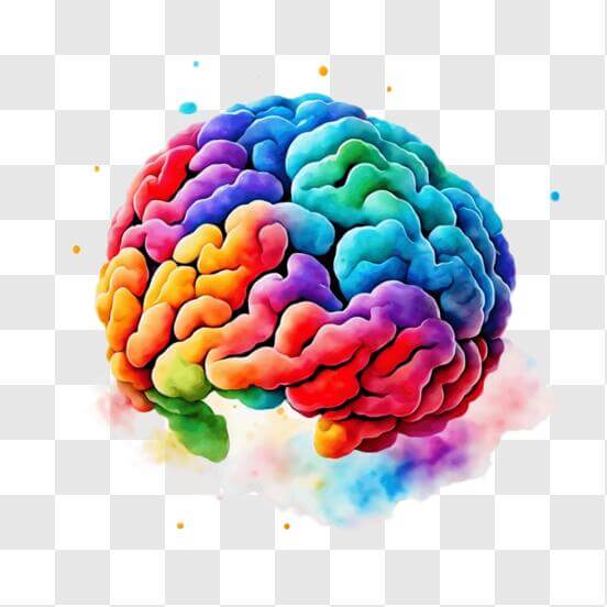 Download Colorful Brain Illustration for Mental Health PNGs Online ...