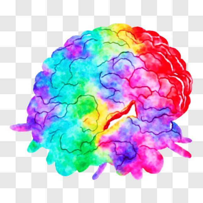 Download Colorful Brain Illustration for Mental Health PNGs Online ...