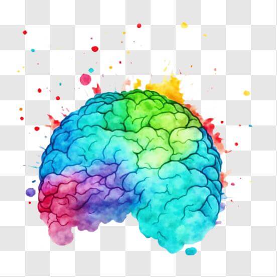 Brain PNG - Download Free & Premium Transparent Brain PNG Images Online ...