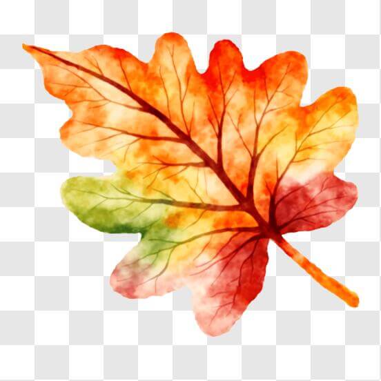 Fall Leaf PNG - Download Free & Premium Transparent Fall Leaf PNG ...