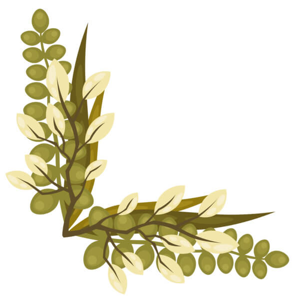 Download Leaf-shaped Frame with Green and Brown Leaves Borders ...