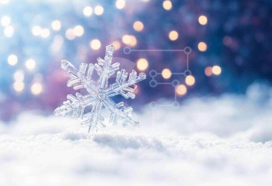 Winter Beauty: Snowflake on Snow stock photo | Creative Fabrica