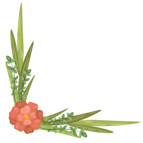 Download Pink Flower Octagon Frame on White Background Borders ...