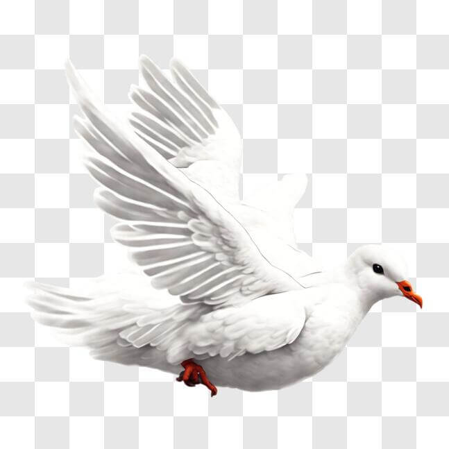 Download Free-Swimming White Dove in Flight PNGs Online - Creative Fabrica