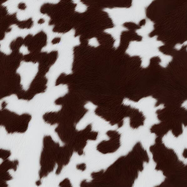 Download Close-up of Brown and White Cow Skin Texture Patterns Online ...