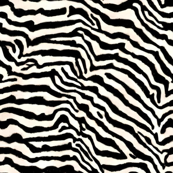 Download Abstract Black and White Zebra Print Fabric Patterns Online - Creative Fabrica