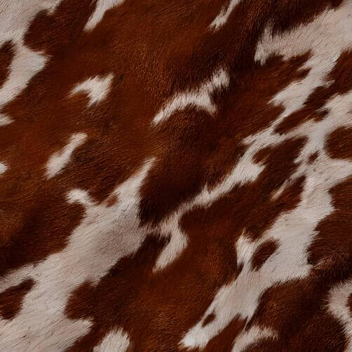 Download Close-up of Brown and White Cow Skin Texture Patterns Online ...
