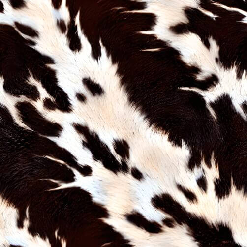 Download Close-up of Brown and White Cow Skin Texture Patterns Online ...