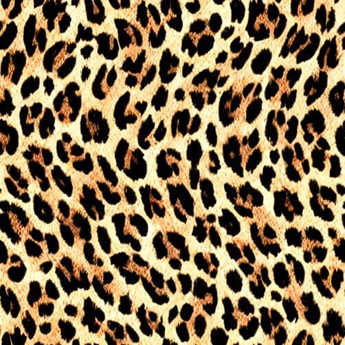 Download Colorful Leopard Print Background Patterns Online - Creative ...